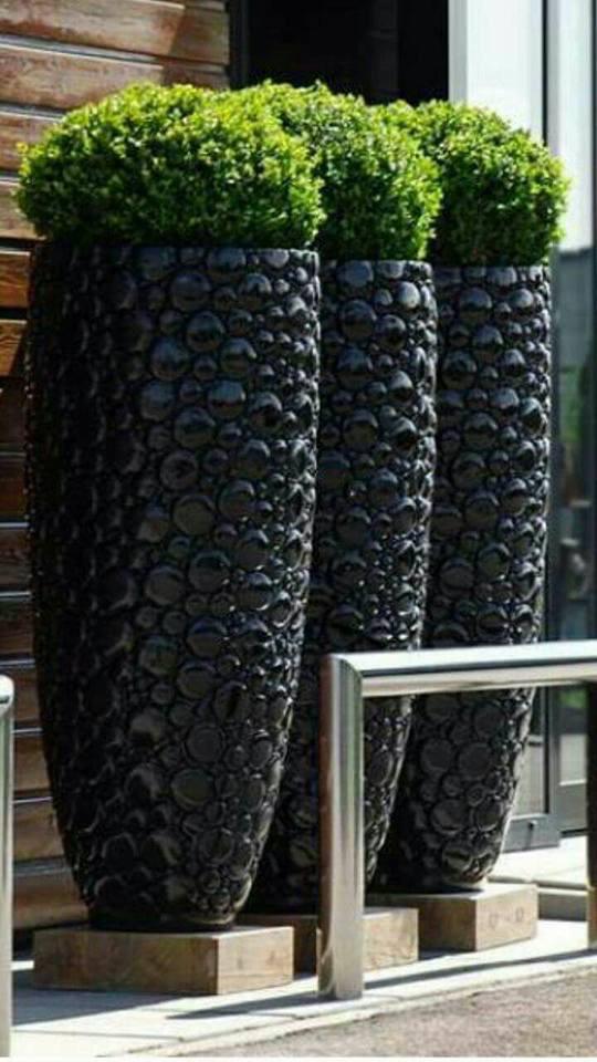 Photo gallery :: Turkeyflowerpot